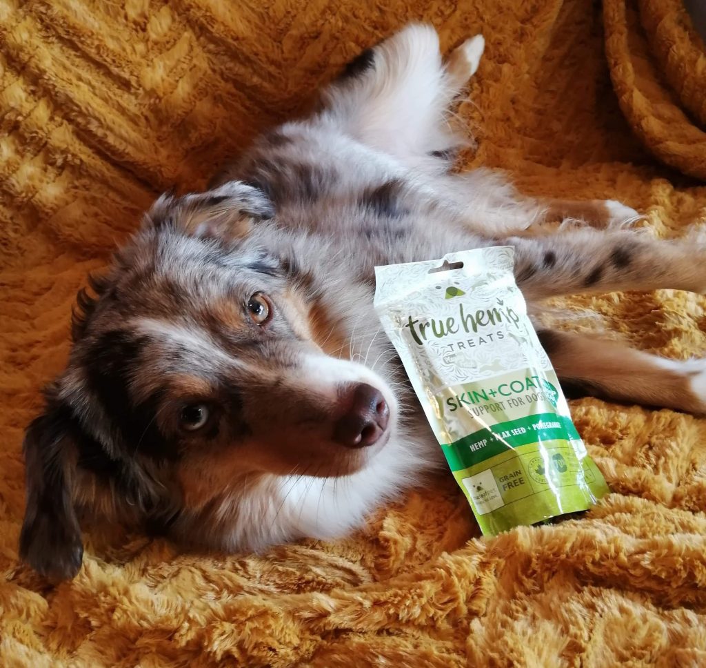 TRUE LEAF PET – Oneeda